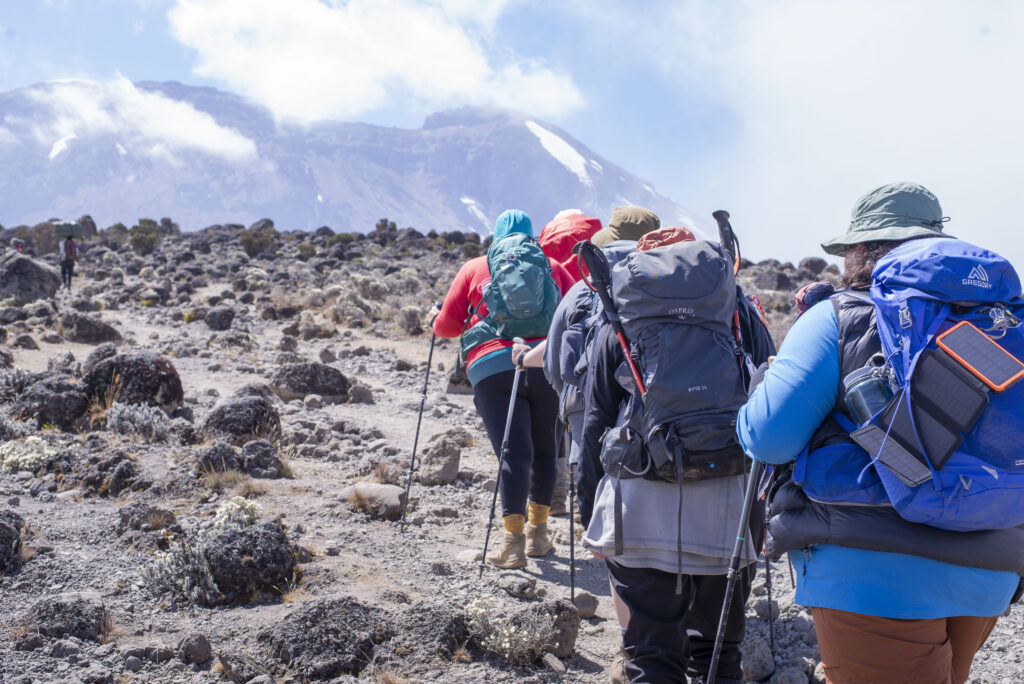 7 Days Rongai Route - Trek2Kili, Tanzania Kilimanjaro Treks & Safari ...